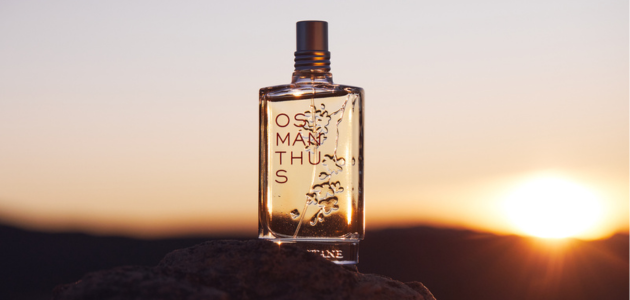 Hoe parfum aanbrengen zodat het langer blijft ruiken | L’Occitane | L ...